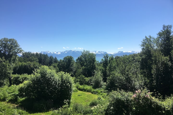 Dog Friendly, Convenient Location To Spit & Town - Homer, AK