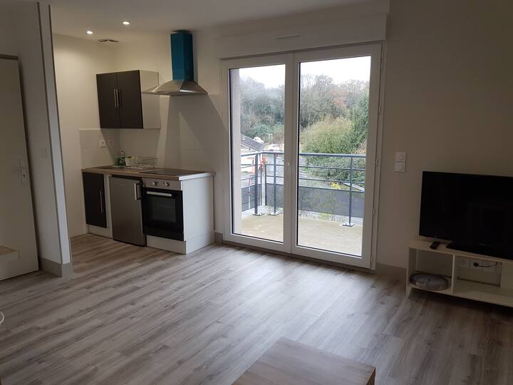 Appartement T2 Brazza - Dinan