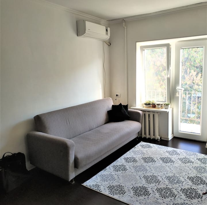 1-bedroom In Downtown Tashkent - Tashkent