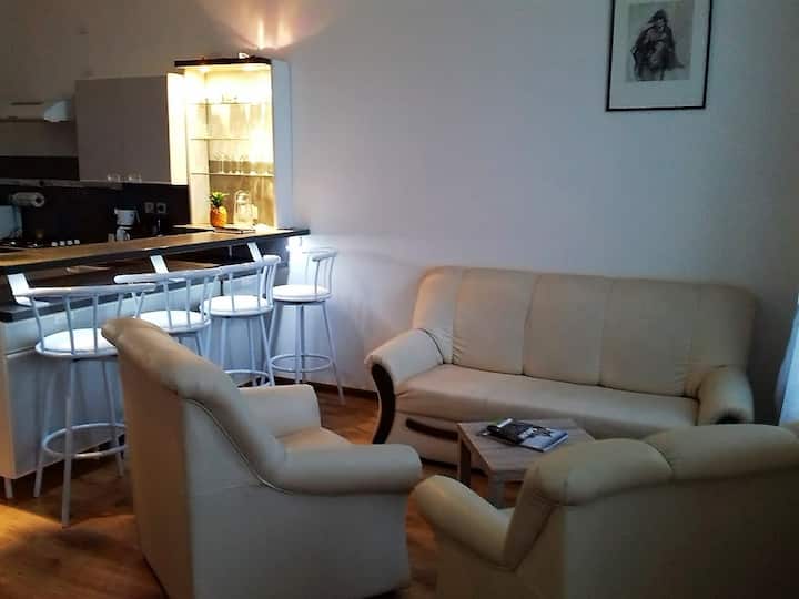 Grand Appartement Entre Loire Et Château - Saumur