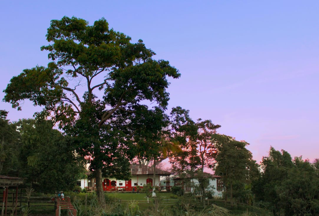 Hermosa Finca Turística en el Líbano Tolima - Granjas en alquiler en ...