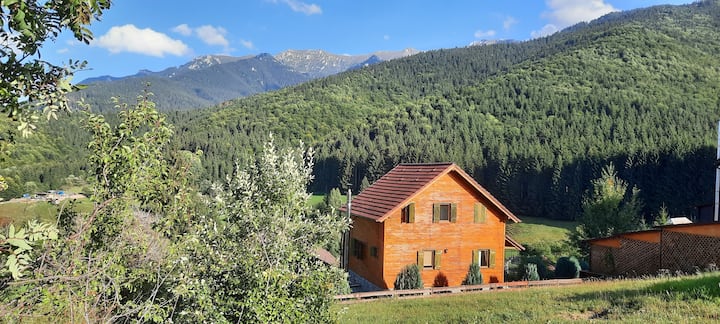 Magnolia House Near Dracula Castle - Bran