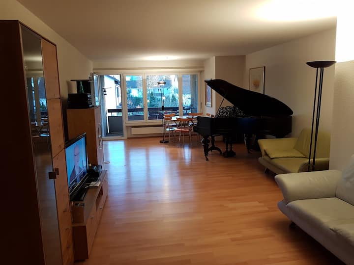 Big Furnished Apartment With A Lot Of Extras!! - Zurich