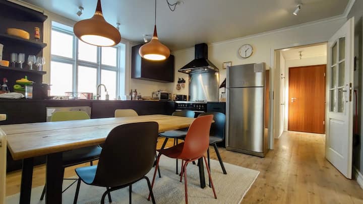 Ideal Reykjavik Apartment In Great Location - Reykjavik