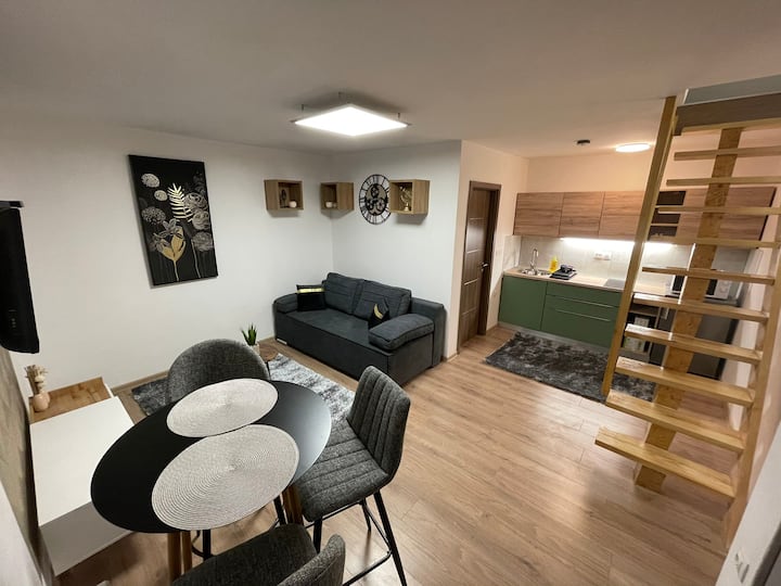 Apartman 4you: Karlo I Klara - Self Check In - Osijek