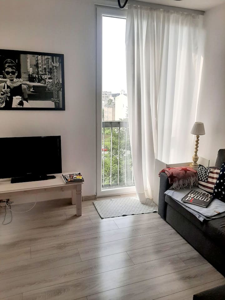 Hollywood Apartament W Samym Centrum ŁOdzi Z Bezpłatnym Parkingiem.stylowy,sloneczny Z Pozytywną Energią. 
I Love Piotrkowska 
I Love Lodz - Łódź