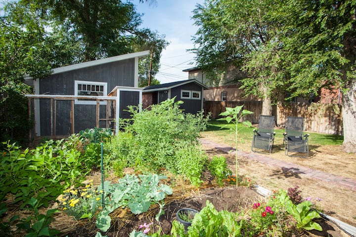 Rustic Cozy Brick Bungalow in Old Southwest Reno - Guesthouses for Rent ...