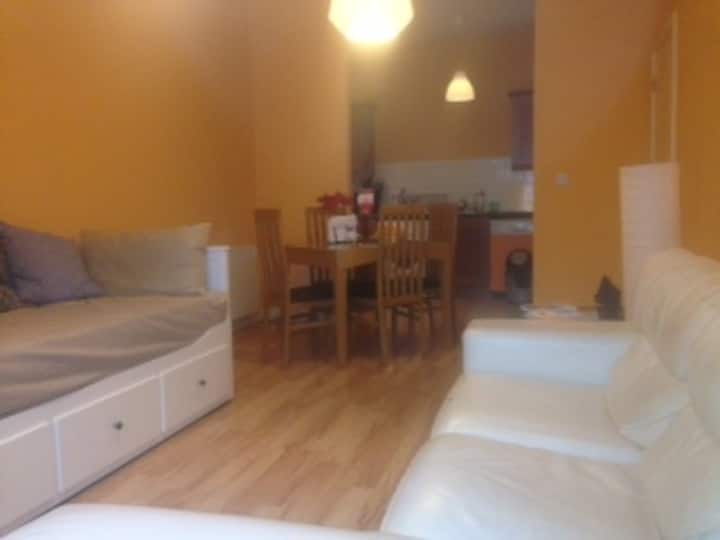 Airport Bus 5 Min Walk, All City Centre Walkable - Dublin