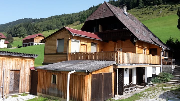 Wandern - Schwammerlsuchen - Natur Pur - Planneralm