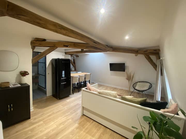 Appartement Cosy Coeur De Ville - 부르쥬