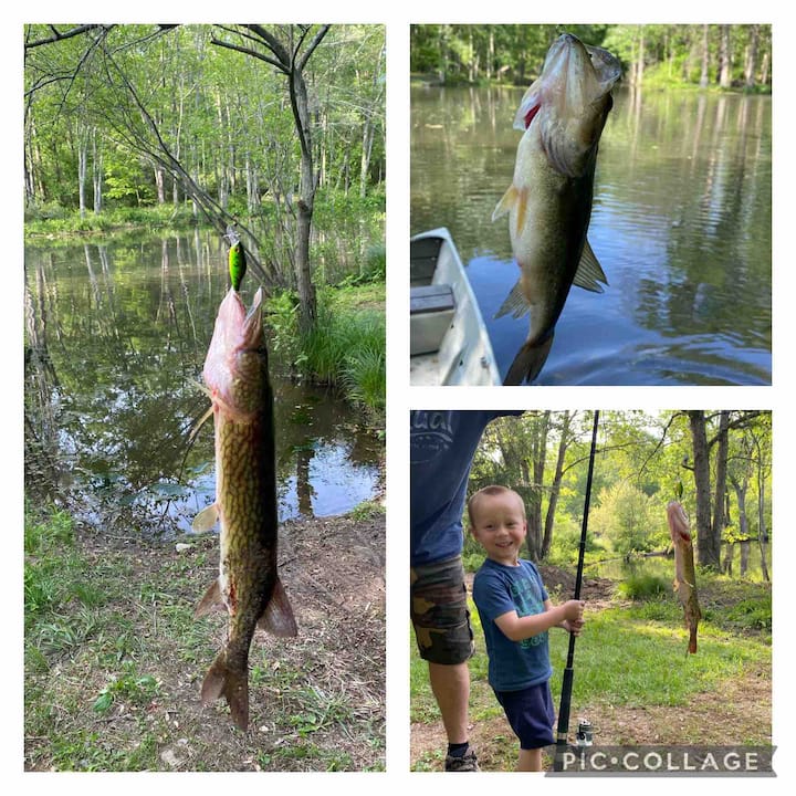 10 Best Airbnb Castles In The USA - Updated 2024 | Trip101