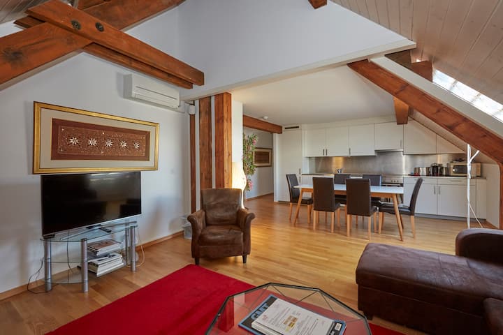 Geneve Centre, Appart 3 Ch. 2sdb, Air Conditionné - Geneva