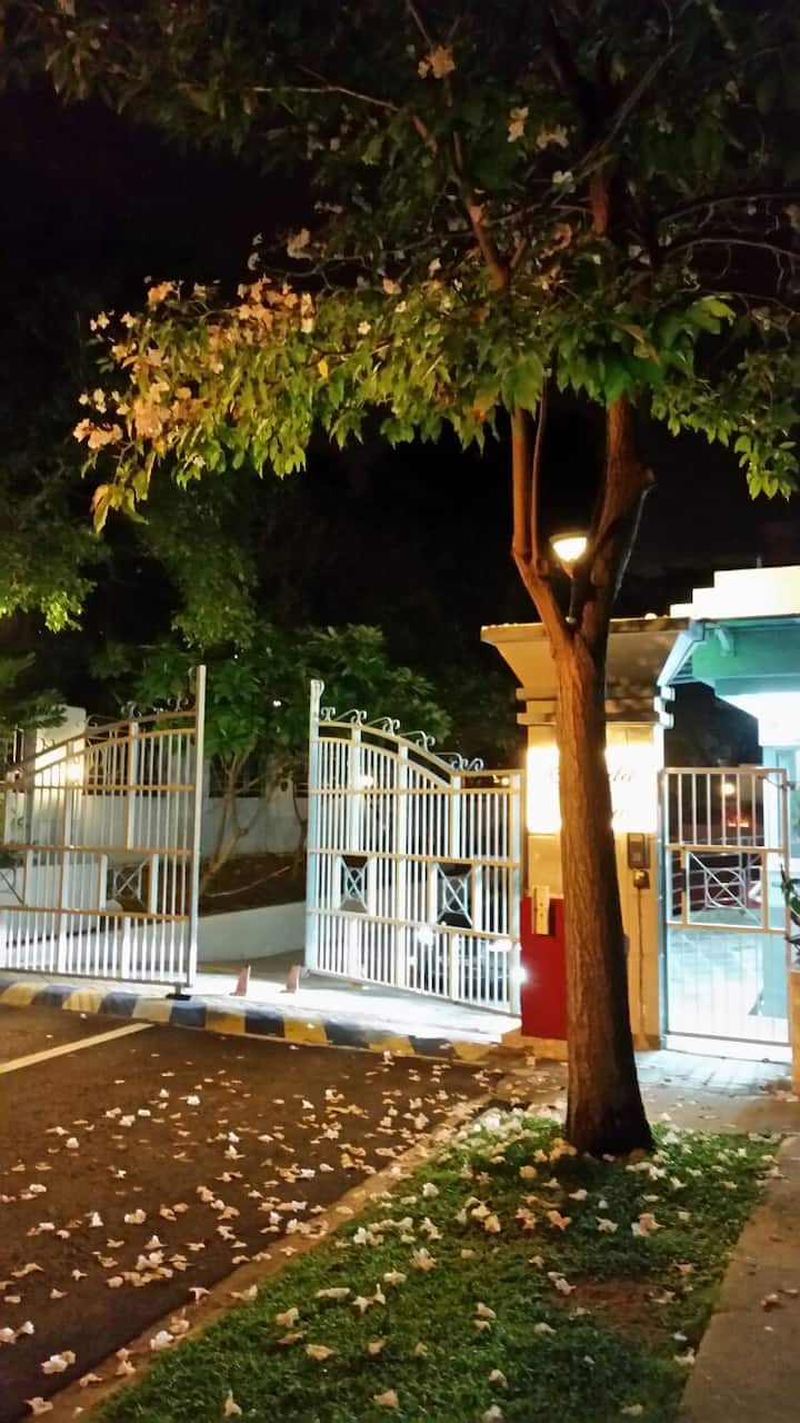 Clean Master Room For Vegetarian Female Only - Tampines