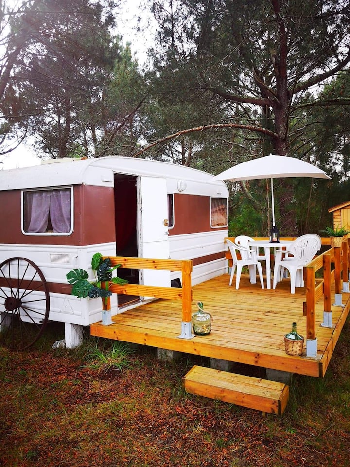 " Naïa " Eco Caravane Entre Nature Et Ocean - Bias