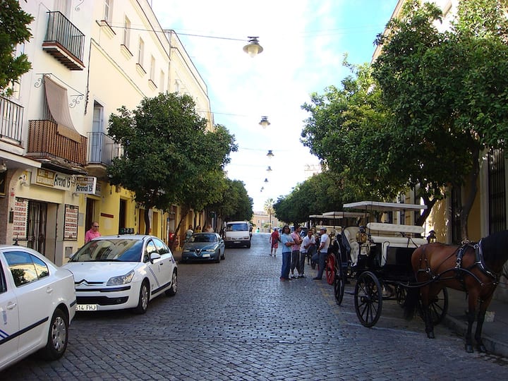 Appartement Dans Le Centre De Jerez - Jerez de la Frontera