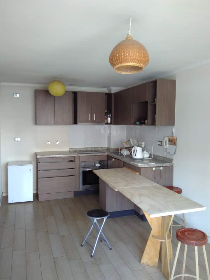 Nice Flat Close To Santa Isabel Metro Station - Santiago