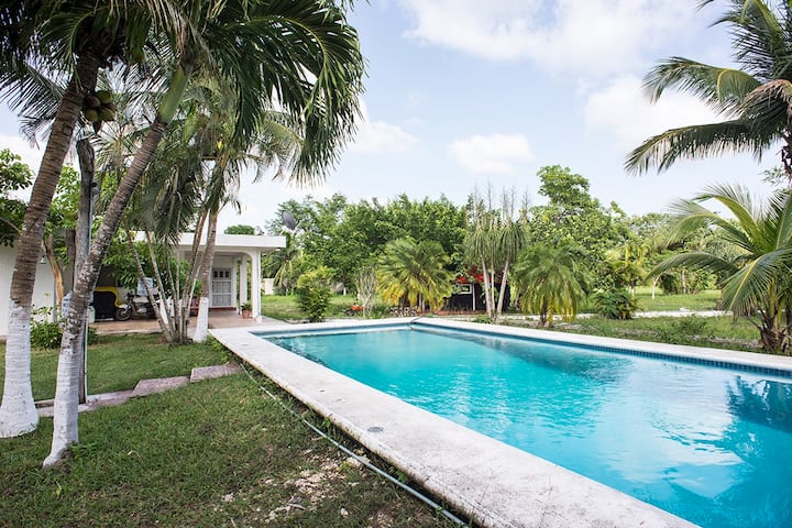 Jungle Dreams On A Rancho Alvarez - Cozumel