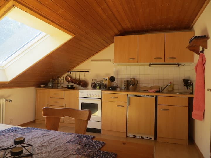 Am Waldrand: Gemütliche Dachgeschosswohnung, 2 Zi. - Rheinfelden