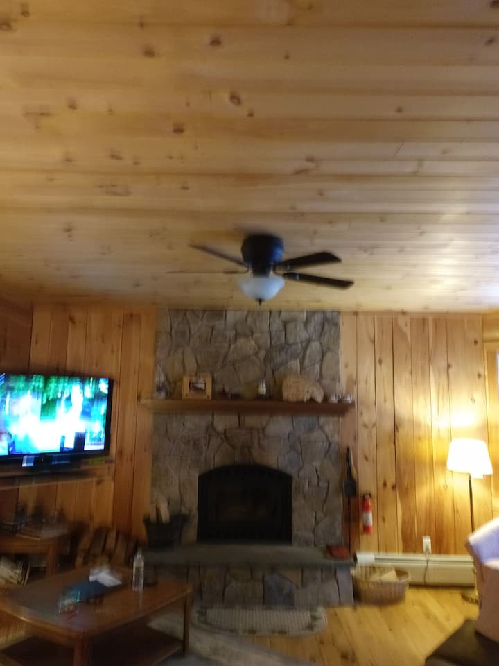 Comfy Home In The Adirondacks, For Winter & Summer - Indian Lake, NY