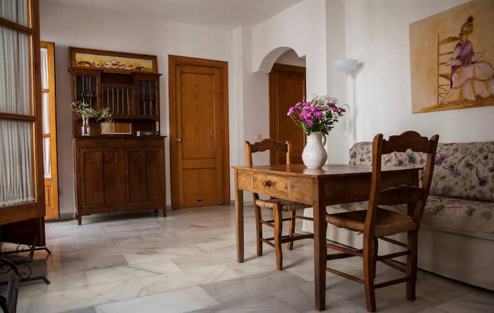 Cozy Quiet Apt. In City Center_vtf/se/001199 - Sevilha