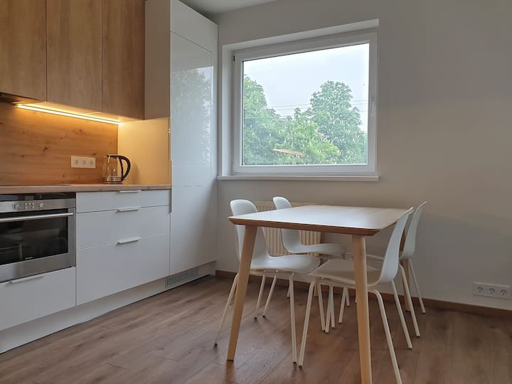 Cozy Zaliakalnis Apartment - Kaunas