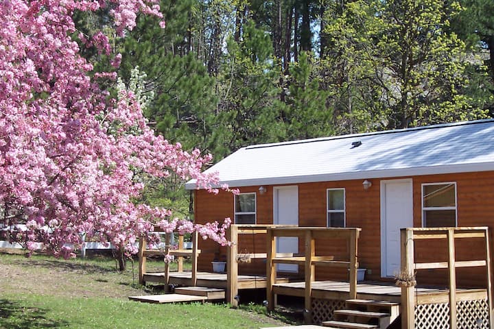 Triple R Ranch- Secluded Duplex Cabin -2 Full Beds - Keystone, SD