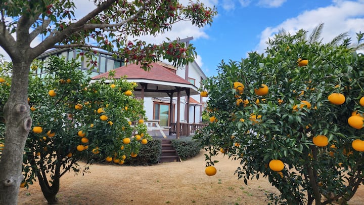 "미카엘 하우스".
서귀포 대평리 올래8코스
전원주택1층전체
45평형. 한달살이. 바베큐 - Corée du Sud