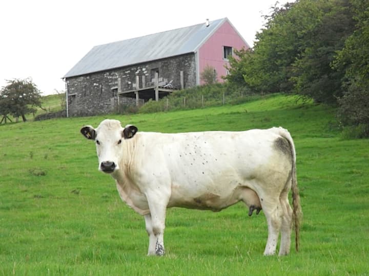 Beudy Banc Barn Conversion Stunning Views - Centre for Alternative Technology