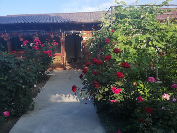 Casa Delia - Sulina