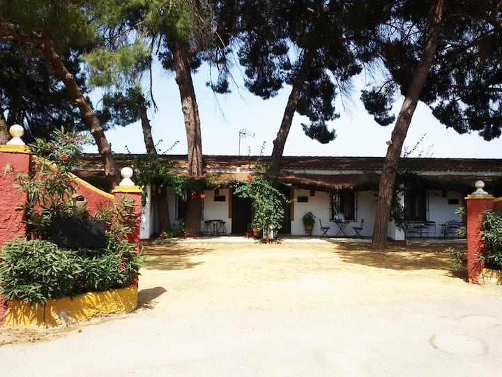 La Corbera - Utrera