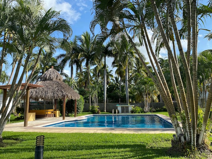 Escorpión 🦂 - Acapulco