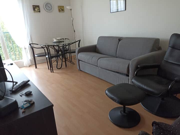 Disneyland / Paris Appt Classé 3 Etoiles De France - Nogent-sur-Marne