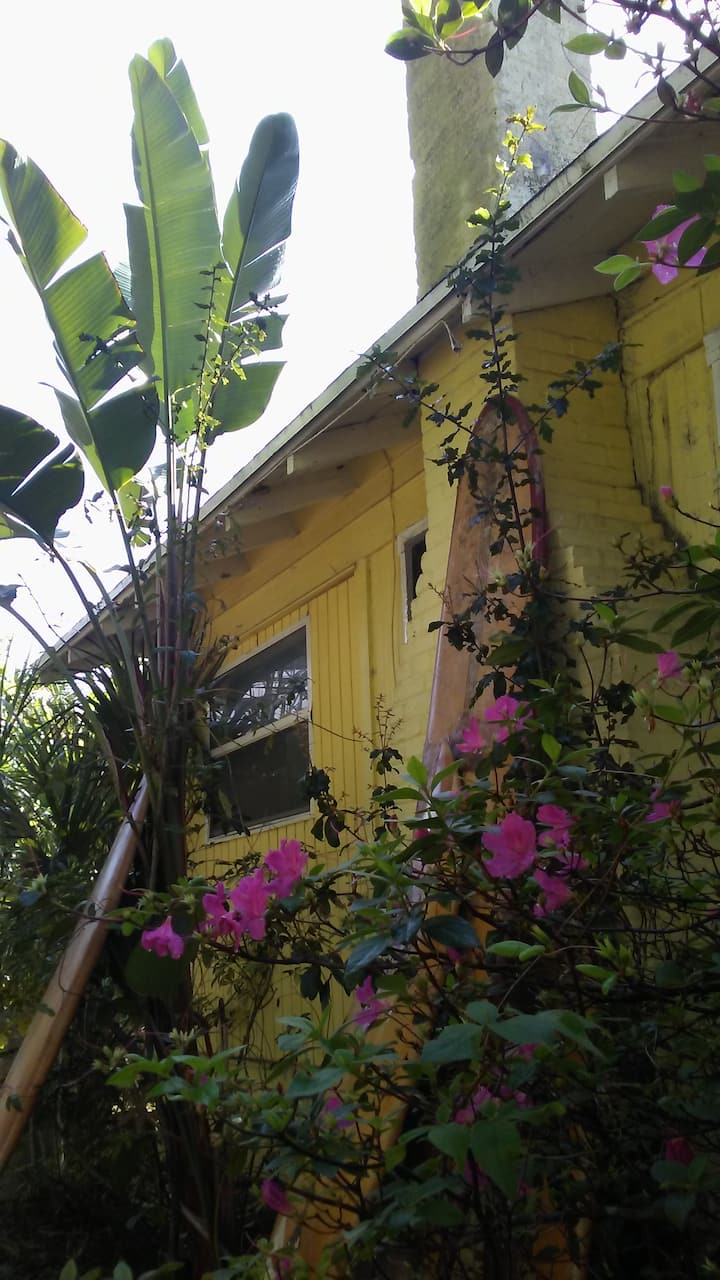1929 Rustic Wood House Downtown - Melbourne Beach, FL
