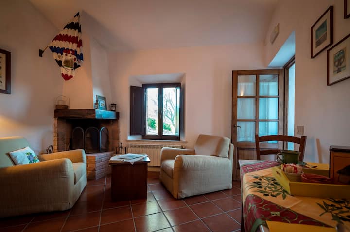 Nice Farm Apartment Mid The Vineyards - Radda in Chianti
