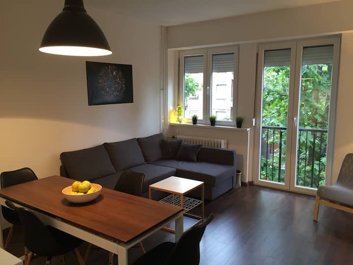 Dorcol Comfortable Apartment With Central Location - Belgrade