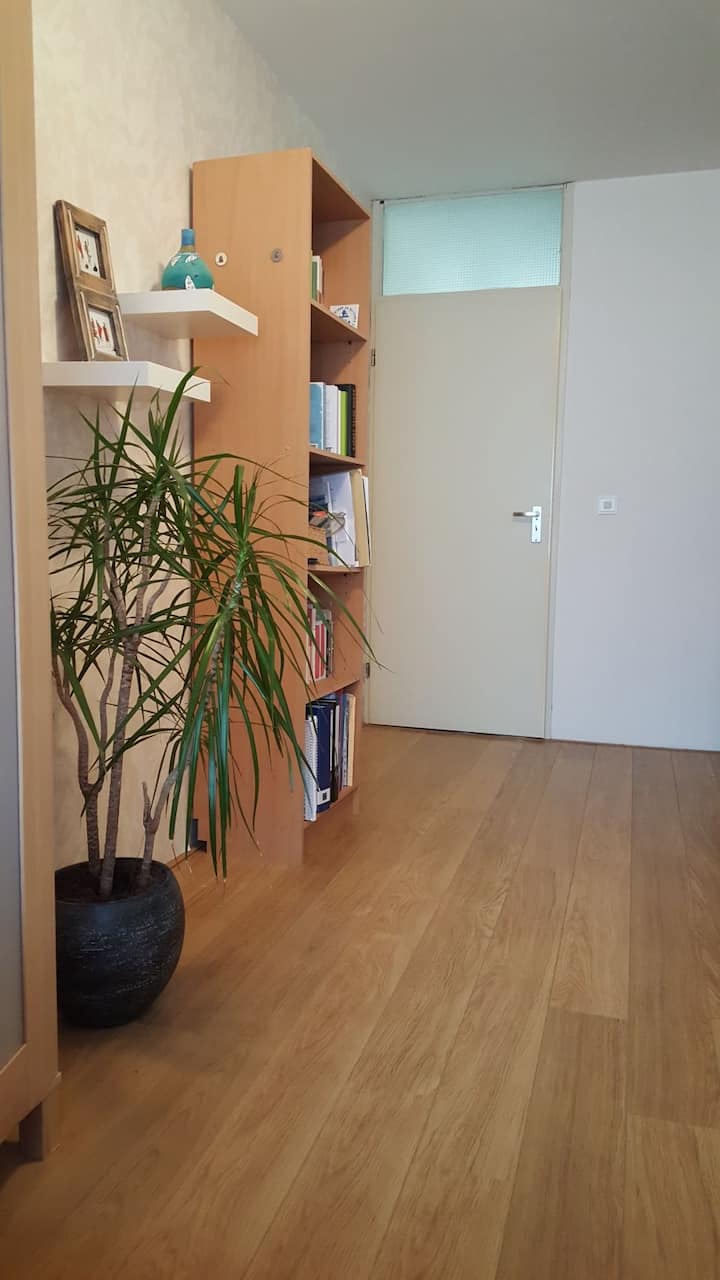 Convenient Apartment In Centre (Grote Markt) - The Hague