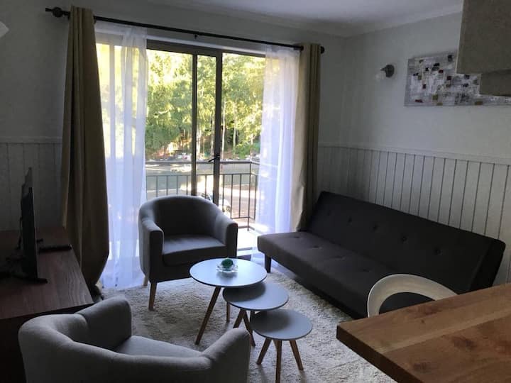 Cómodo Depto. En Pucón - Pucón