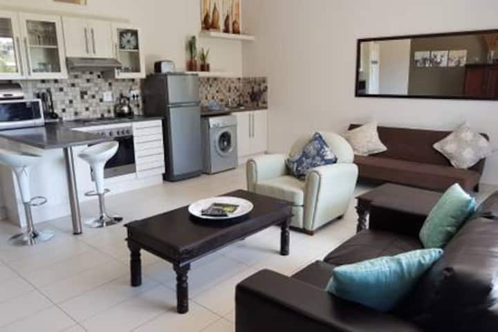 Rieks Luxury Self Catering Windhoek Apartment 2 - Windhoek