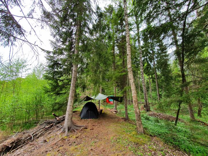 Camp Site On Off-grid Homestead - Hedemora