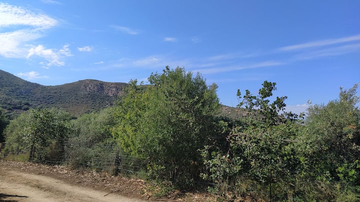 Le Calme De La Balagne - Lumio