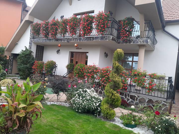 Vila De îNchiriat! - Oradea