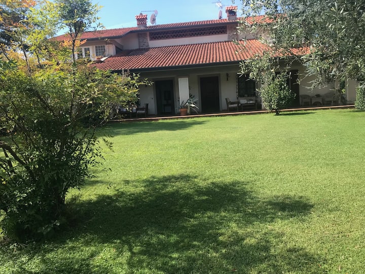 Mimosa - Forte dei Marmi
