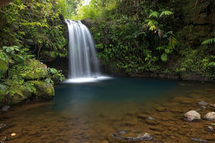 12 Best Airbnb Vacation Rentals In Hilo, Hawaii - Updated 2024 | Trip101