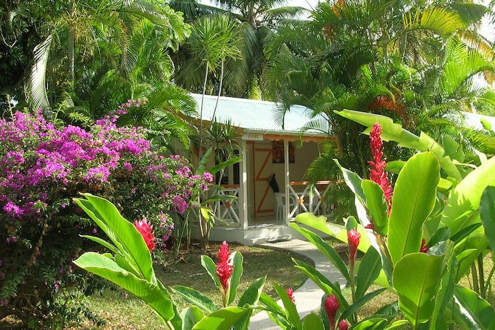 Bungalow  Fleurs Des îLes - Deshaies
