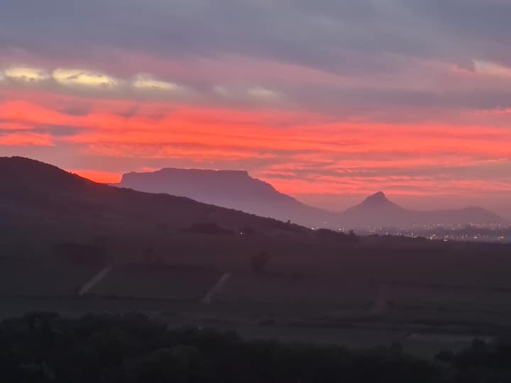 Devon View Olive Farm. - Stellenbosch
