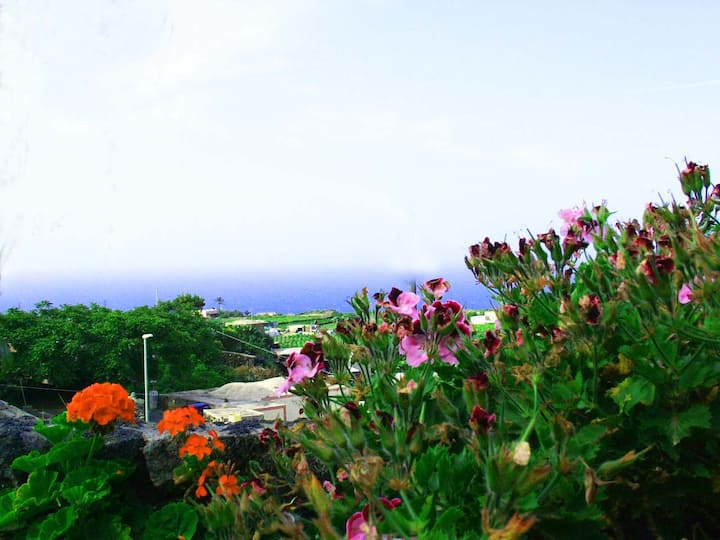 Casavacanze Vista Mare 5 Alloggi, Minimo 2 Persone - Pantelleria