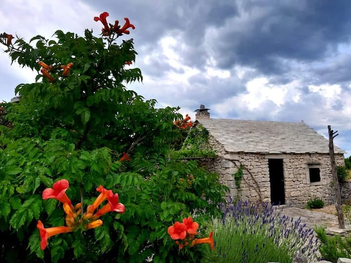 Country House Hacienda-bungalov 1 - Hvar