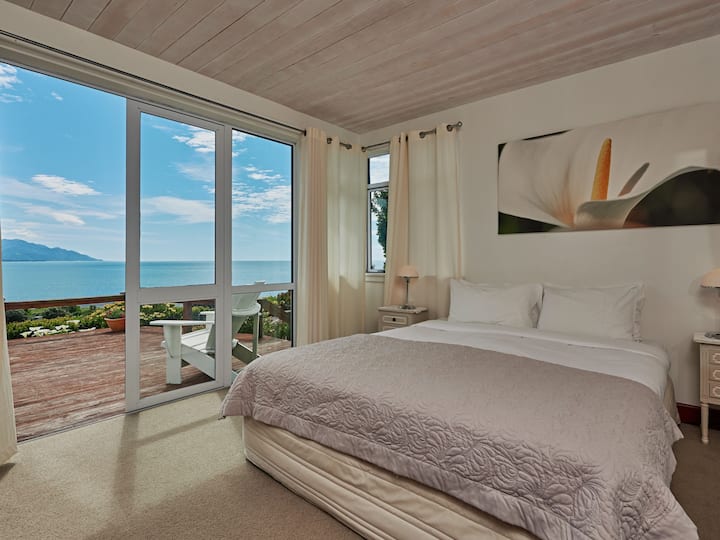 Calla Lily At Lemon Tree Lodge - Kaikōura