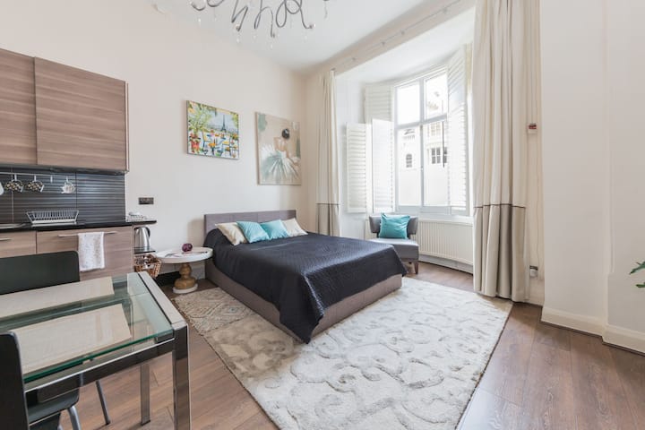 Great Studio Flat Central London - Londres