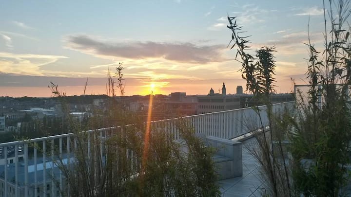 Rooftop Apartment Ghent (Facade Works In Progress) - Ghent (Belgium)